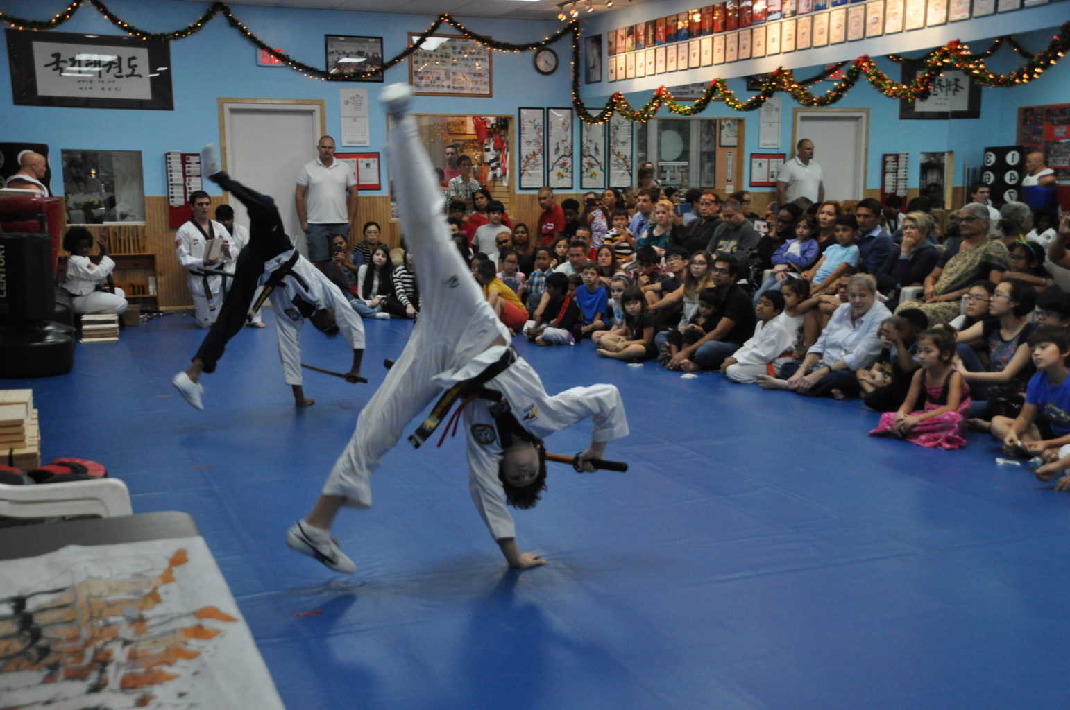 DEMO – Palm Beach Super Taekwondo